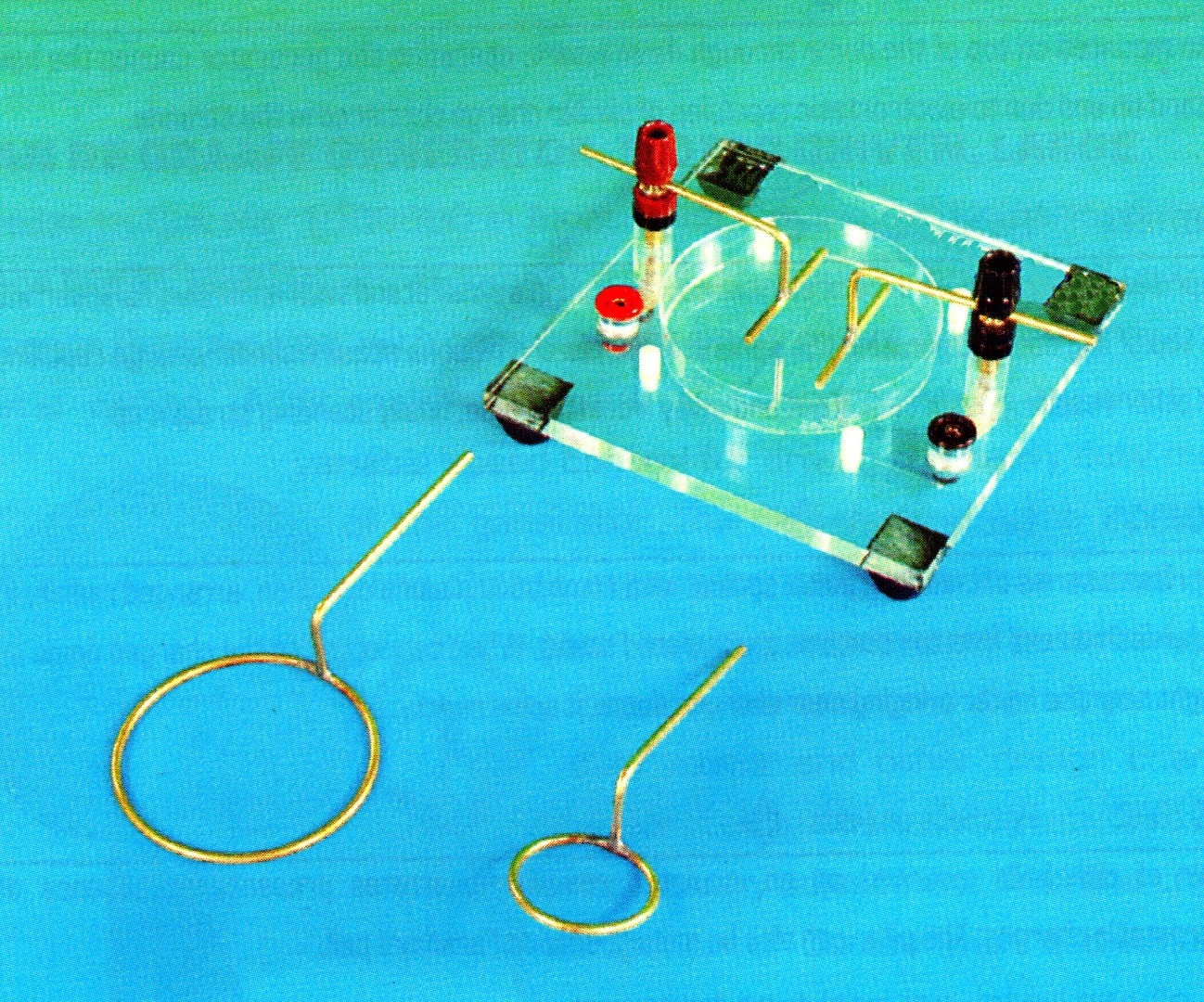 TD Model & Scientific Co.